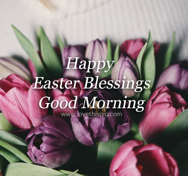 Colored Tulip Happy Easter Blessings, Good Morning Pictures, Photos ...