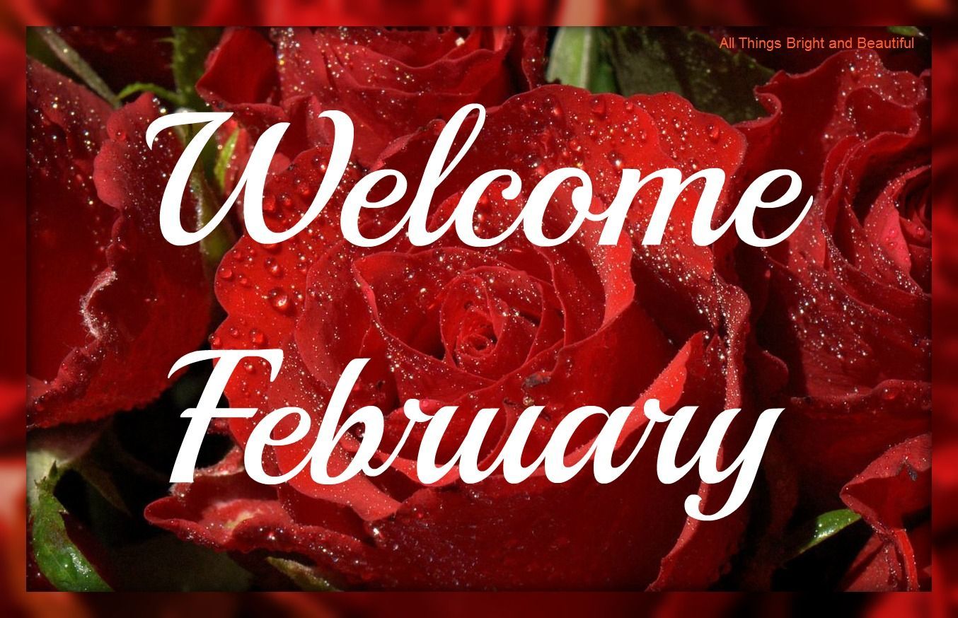 Red Rose Welcome February Pictures, Photos, and Images for Facebook ...