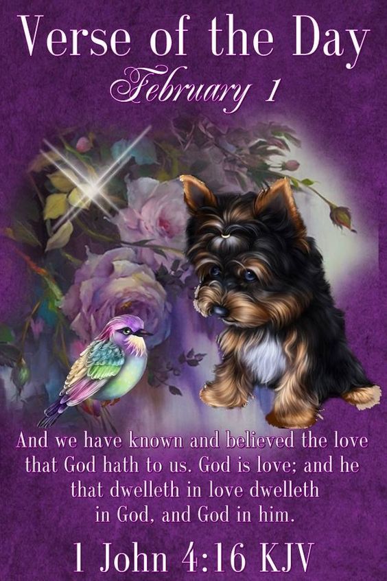 Verse Of The Day - February 1 Pictures, Photos, and Images for Facebook ...