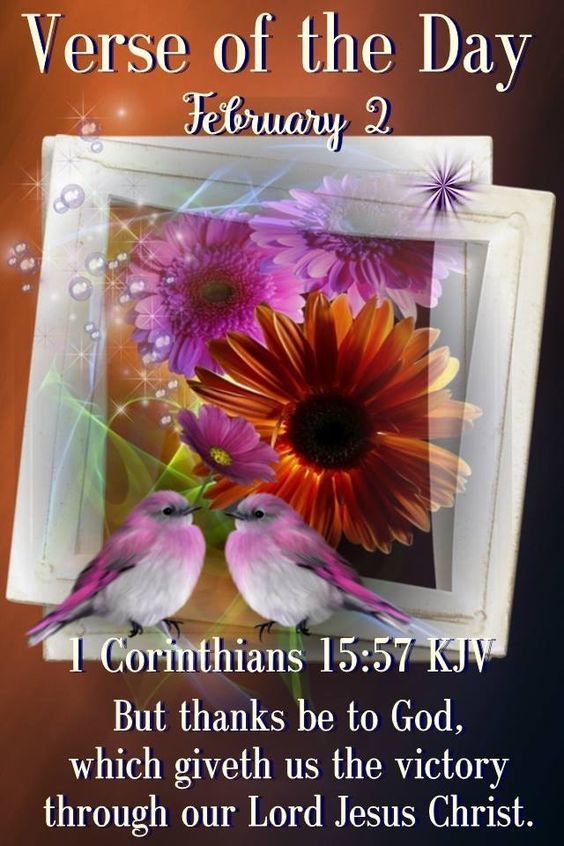 Feb 2nd Verse Of The Day Pictures, Photos, and Images for Facebook ...