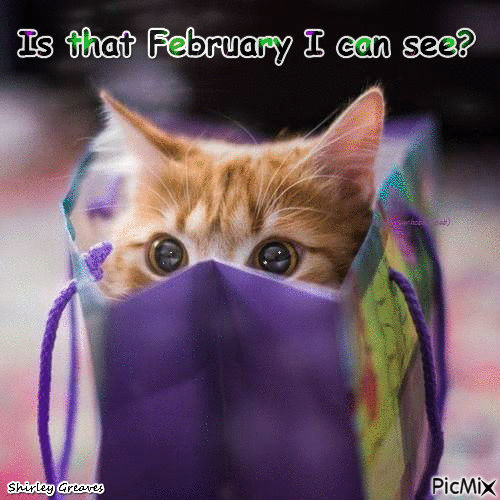Is That February I Can See? Pictures, Photos, and Images for Facebook ...