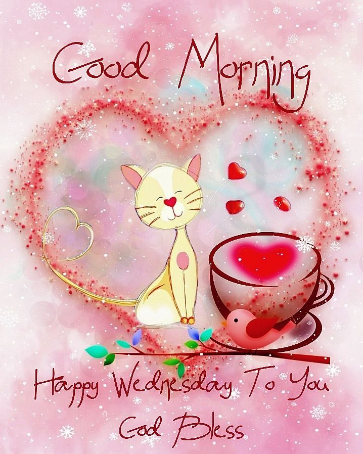Love Cat, Good Morning Happy Wednesday To You Pictures, Photos, and ...