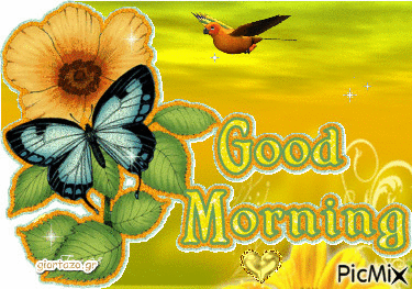 Flying Bird 3D Good Morning Floral Gif Pictures, Photos, and Images for ...