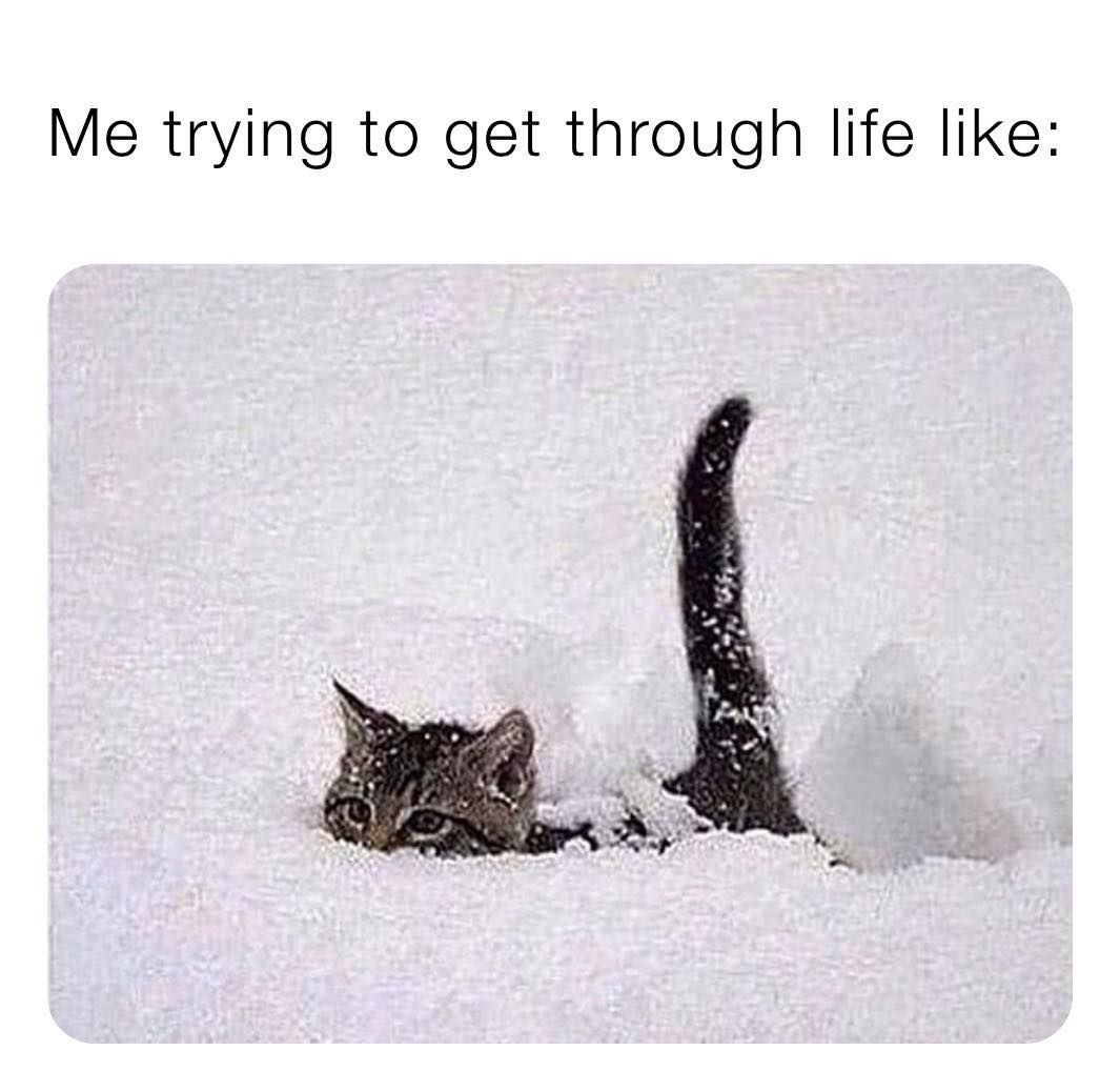 Me Trying To Get Through Life Like Pictures, Photos, and Images for ...