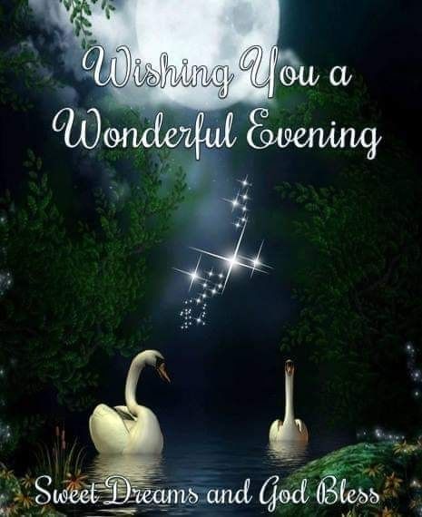 Swan Evening Quote Pictures, Photos, and Images for Facebook, Tumblr ...