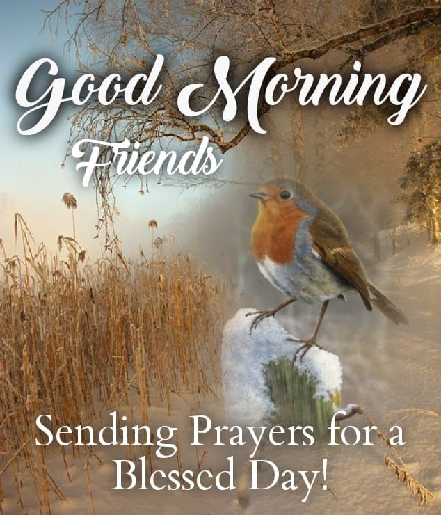 Prayers For A Blessed Day, Good Morning Friends Pictures, Photos, and ...