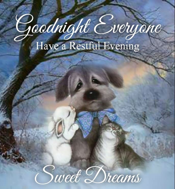 Goodnight & Restful Evening Pictures, Photos, and Images for Facebook ...