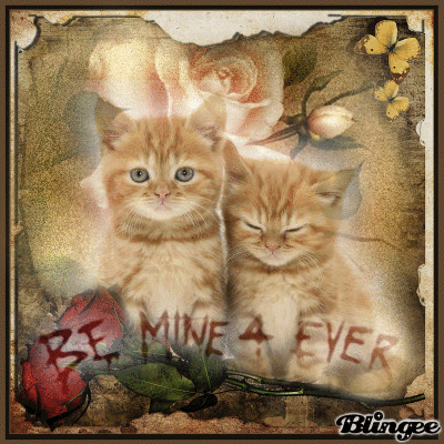 Be Mine 4 Ever Pictures, Photos, and Images for Facebook, Tumblr ...