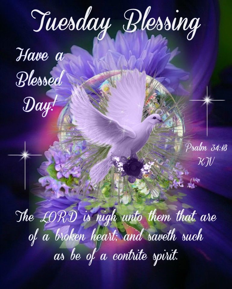 Lavender Dove Tuesday Blessing Pictures, Photos, and Images for ...