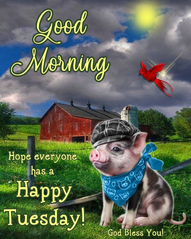 Everyone Have A Happy Tuesday Pictures, Photos, and Images for Facebook ...