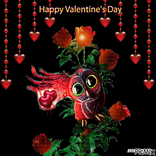 Valentine Owl Pictures, Photos, and Images for Facebook, Tumblr ...