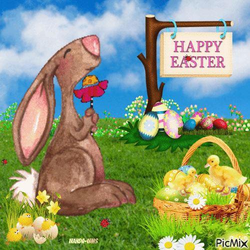 Brown Bunny In Field - Happy Easter Pictures, Photos, and Images for ...
