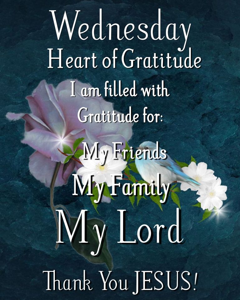 Heart Of Gratitude - Wednesday Pictures, Photos, and Images for ...