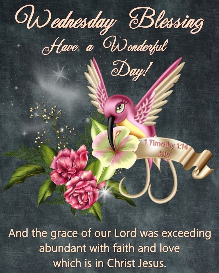 Cute Hummingbird Wednesday Blessing Pictures, Photos, and Images for ...