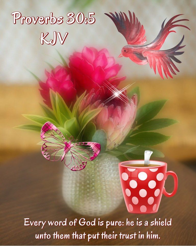 Every Word Of God Is Pure Pictures, Photos, and Images for Facebook ...