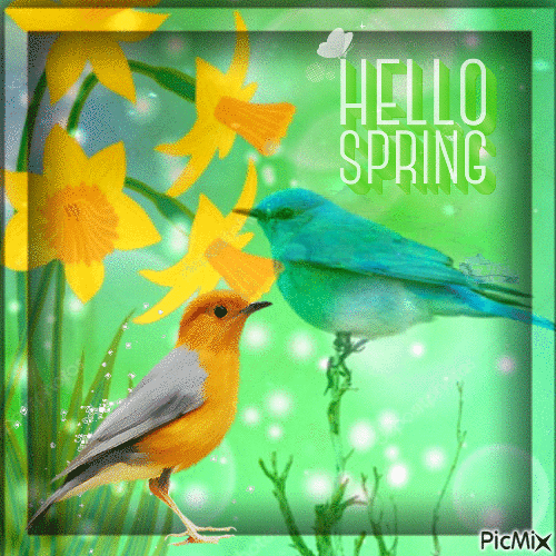 Hello Spring Birds Pictures, Photos, and Images for Facebook, Tumblr ...