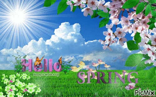 Bright Sun Hello Spring Field Pictures, Photos, and Images for Facebook ...