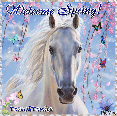 White Horse Hello Spring Pictures, Photos, and Images for Facebook ...