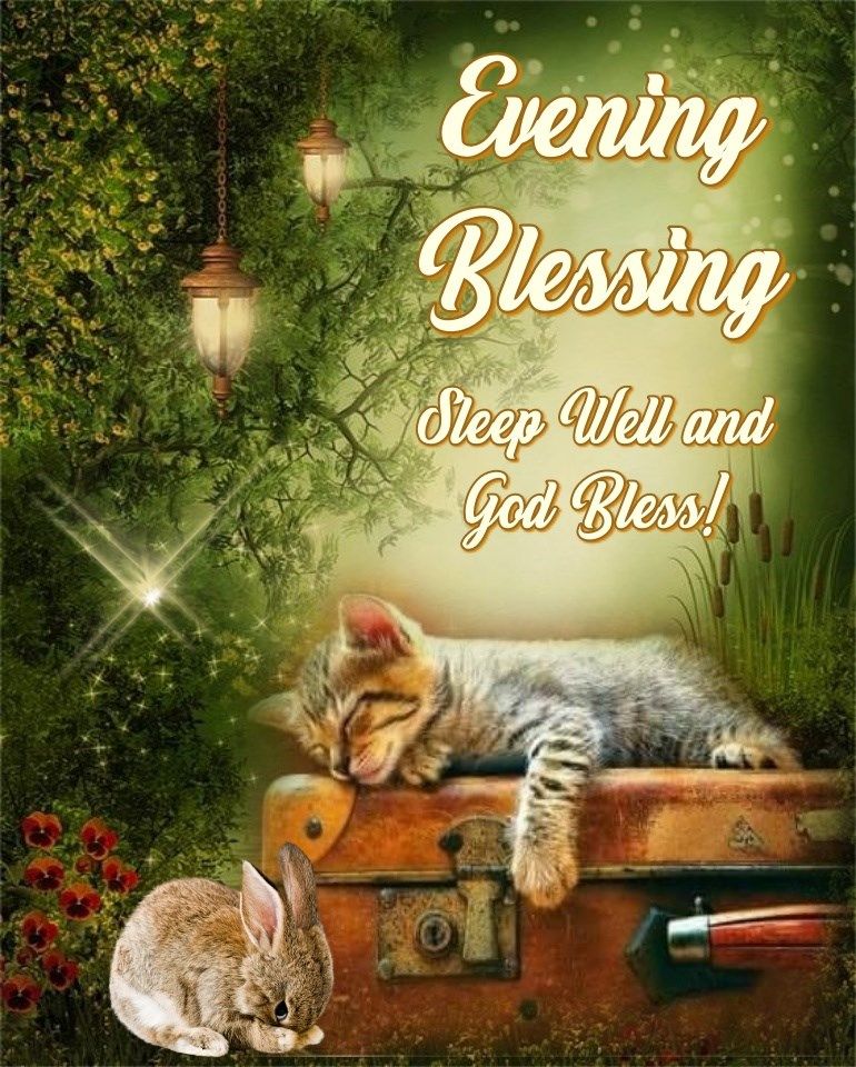 Sleep Well Evening Blessing Pictures, Photos, and Images for Facebook ...