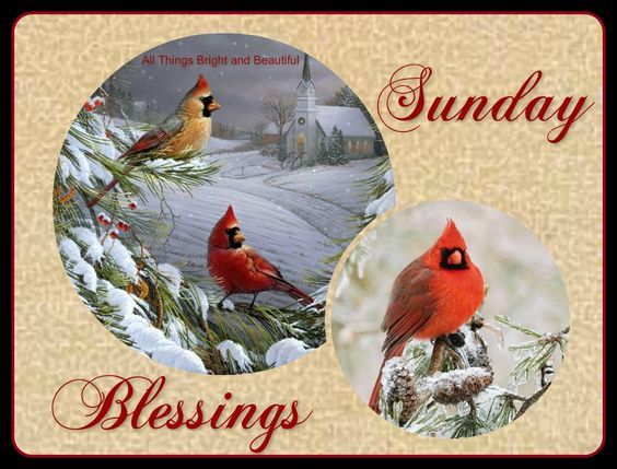 Cardinal Sunday Blessings Pictures, Photos, and Images for Facebook ...