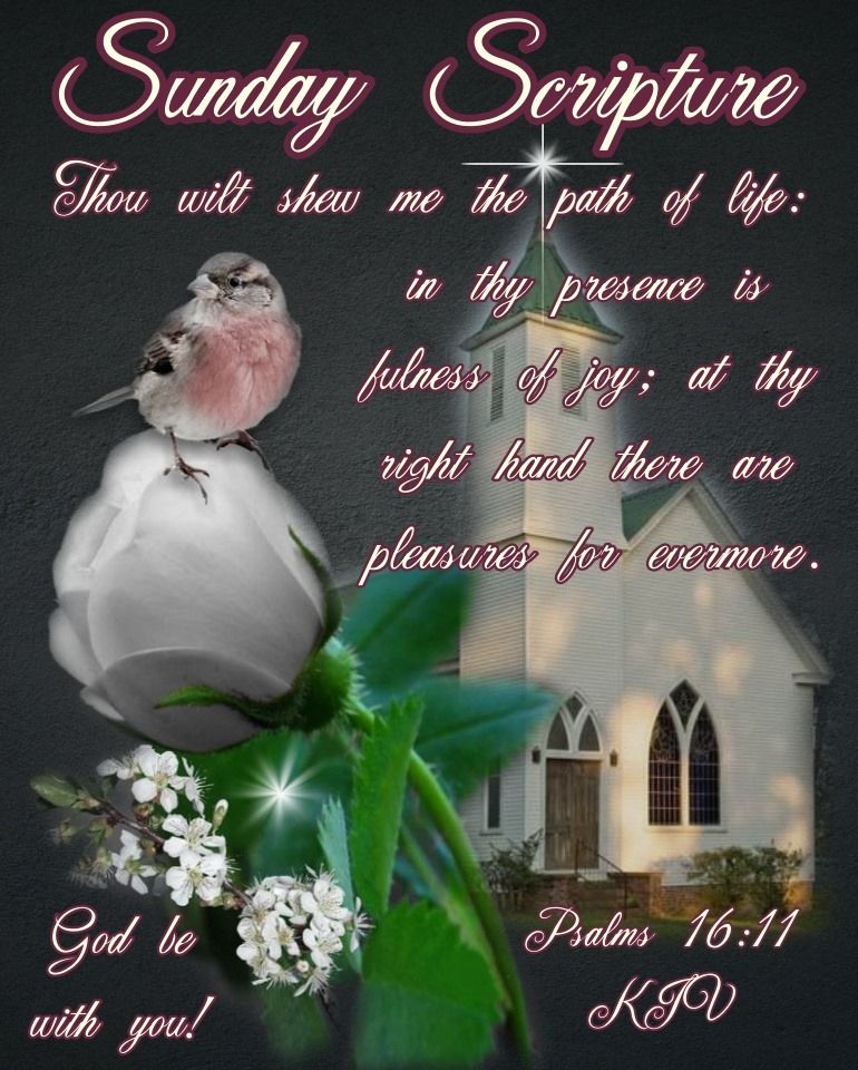 Sunday Scripture Pictures, Photos, and Images for Facebook, Tumblr ...