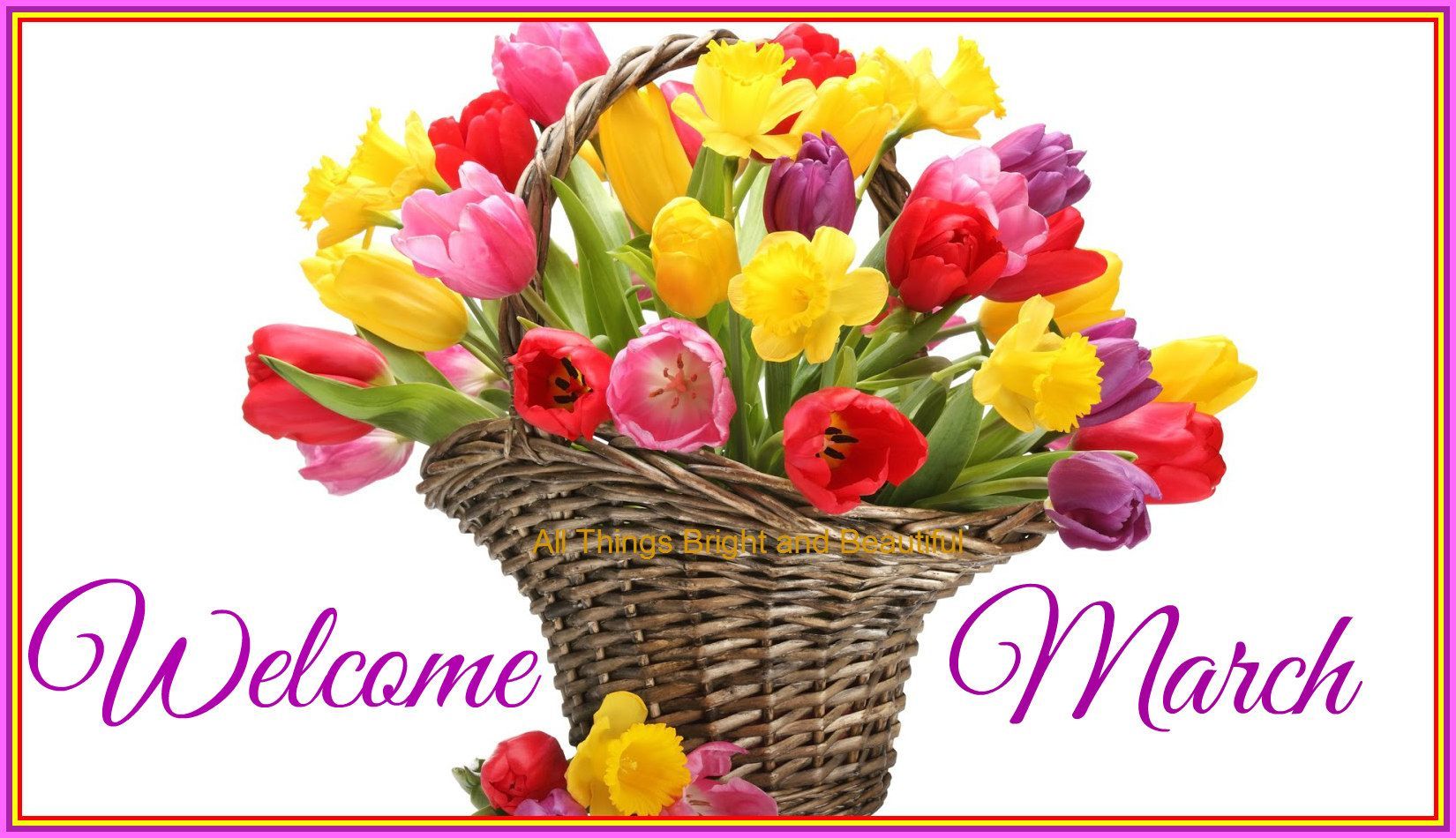 Colorful Tulips Welcome March Pictures, Photos, and Images for Facebook ...