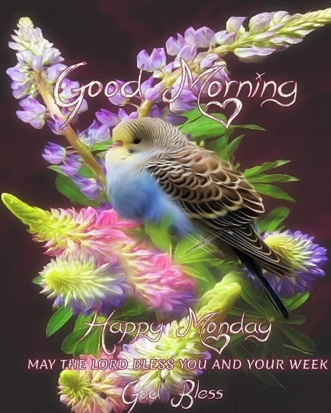 Good Morning Happy Monday Pictures, Photos, and Images for Facebook ...