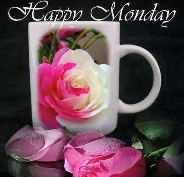 Rose Mug Happy Monday Pictures, Photos, and Images for Facebook, Tumblr ...