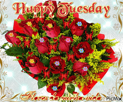 Red Rose Happy Tuesday Pictures, Photos, and Images for Facebook ...