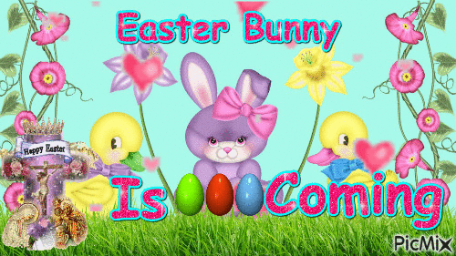 Easter Bunny Is Coming Pictures, Photos, and Images for Facebook ...