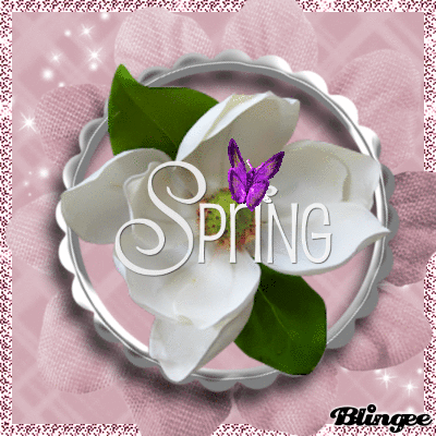 White Flower Spring Gif Pictures, Photos, and Images for Facebook ...