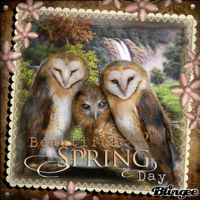 Beautiful Spring Day Pictures, Photos, and Images for Facebook, Tumblr ...