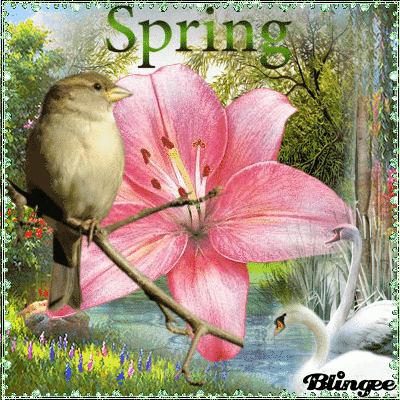 Floral Spring Gif Pictures, Photos, and Images for Facebook, Tumblr ...