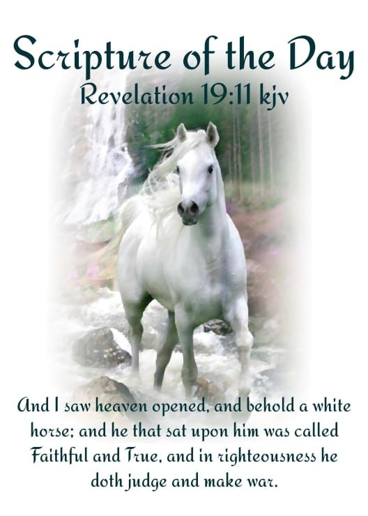 Revelation 19 11 Scripture Of The Day Pictures Photos And Images For
