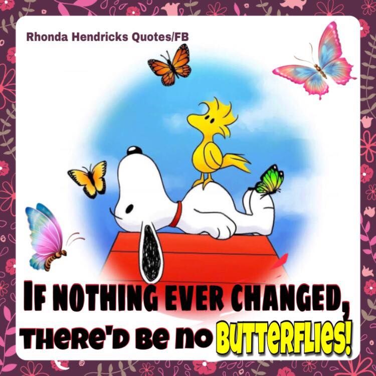 If Nothing Ever Changed, There'd Be No Butterflies Pictures, Photos ...