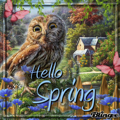Hello Spring Owl Pictures, Photos, and Images for Facebook, Tumblr ...