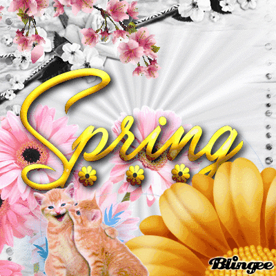 Beautiful Floral Spring Animated Quote Pictures, Photos, and Images for ...