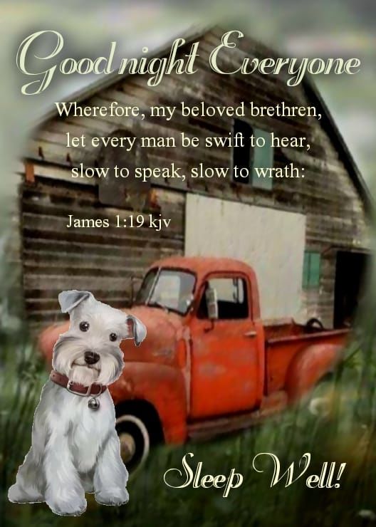 Good Night Everyone Pictures, Photos, and Images for Facebook, Tumblr ...