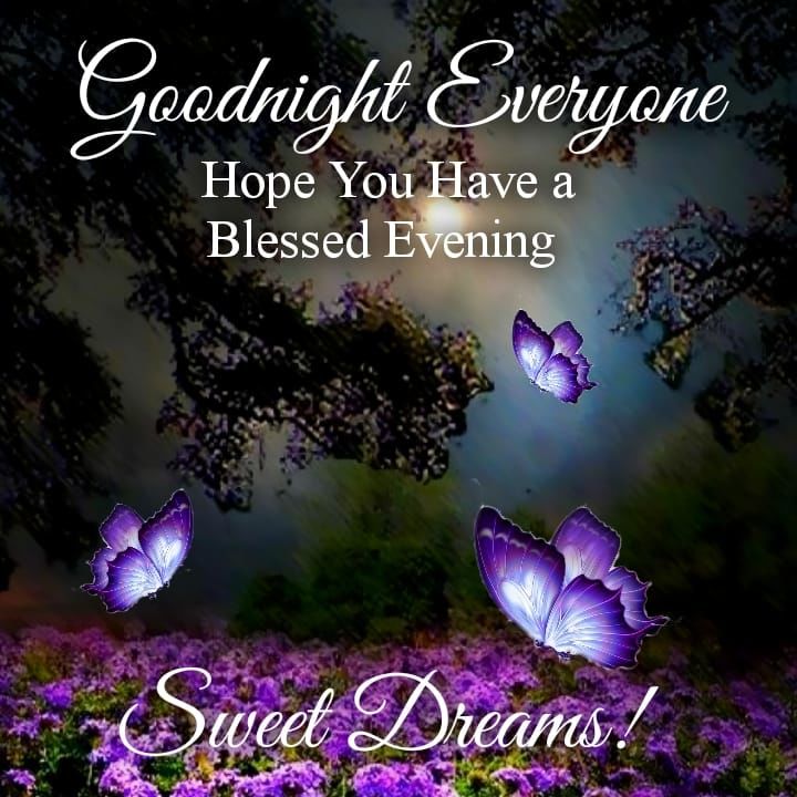 Good Night Purple Flowers