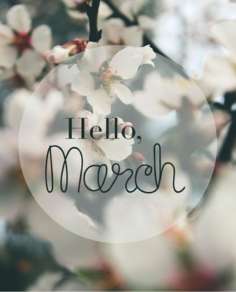 White Flower Hello March Pictures, Photos, and Images for Facebook ...