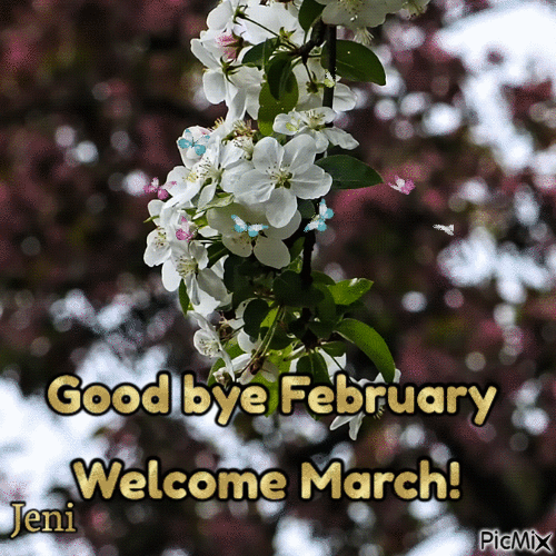 White Floral Goodbye February, Welcome March Pictures, Photos, and ...