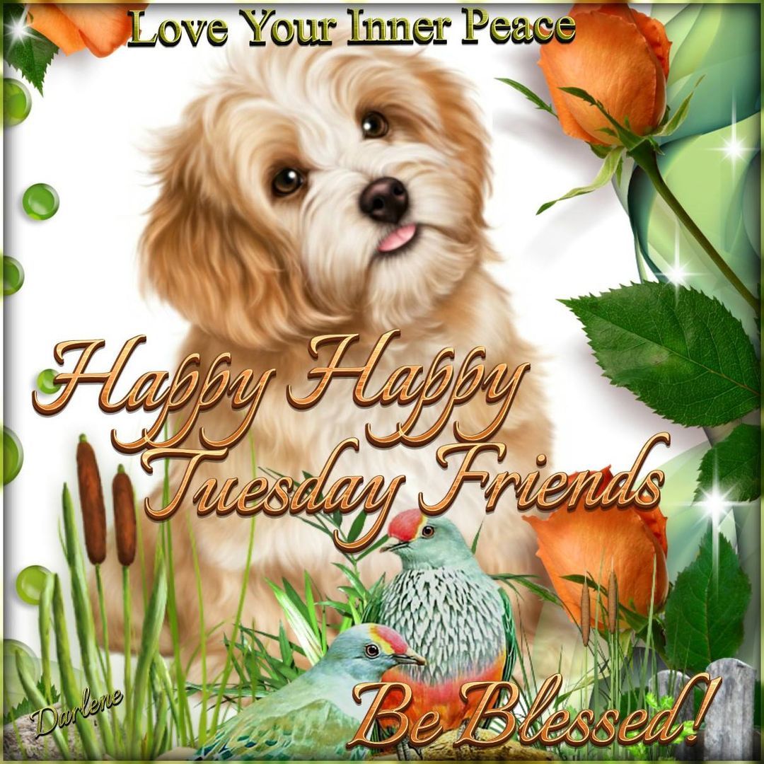Happy Happy Tuesday Friends Pictures, Photos, and Images for Facebook ...
