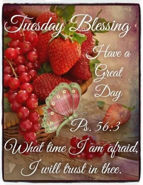 I Will Trust In Thee - Tuesday Blessing Pictures, Photos, and Images ...