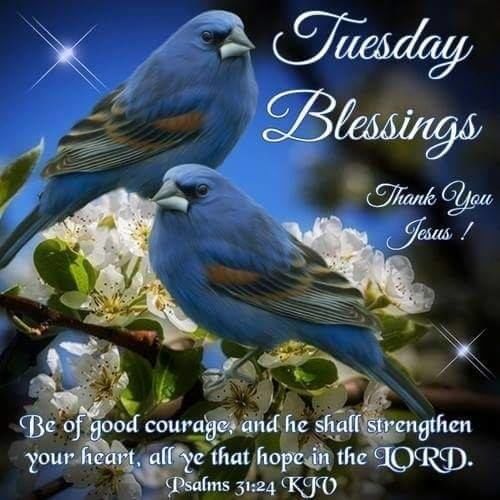 Thank You Jesus Tuesday Blessings Pictures, Photos, and Images for ...