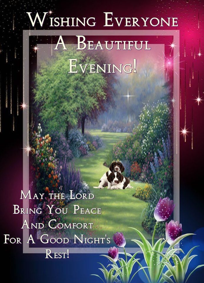 Wishing Everyone A Beautiful Evening Pictures, Photos, and Images for ...