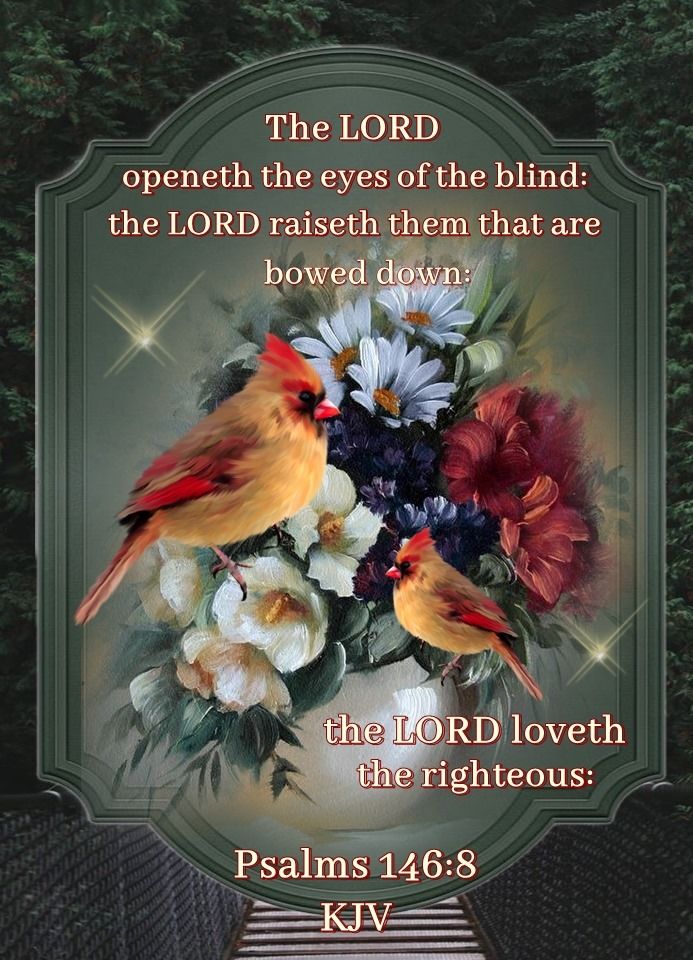 The Lord Openeth The Eyes Of The Blind Pictures, Photos, and Images for ...