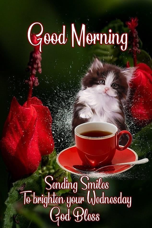 Sending Smiles To Brighten Your Wednesday Pictures, Photos, and Images ...