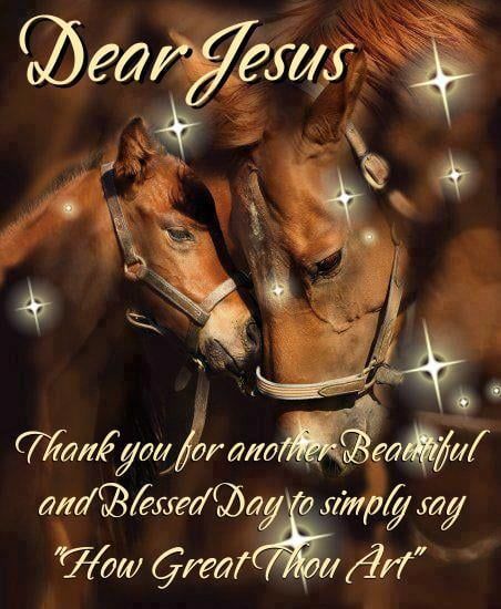 Dear Jesus Pictures, Photos, and Images for Facebook, Tumblr, Pinterest ...