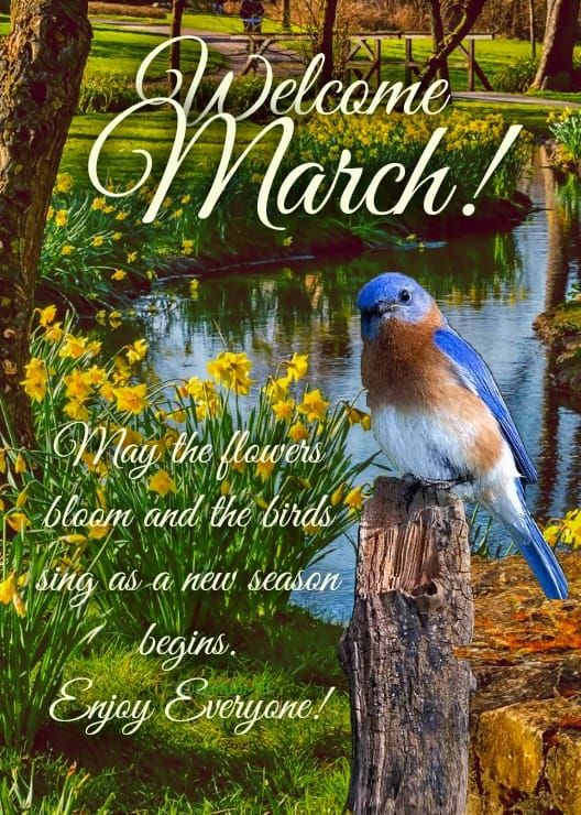 Enjoy & Welcome March Pictures, Photos, and Images for Facebook, Tumblr ...