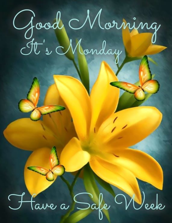 It's Monday Good Morning Pictures, Photos, and Images for Facebook ...